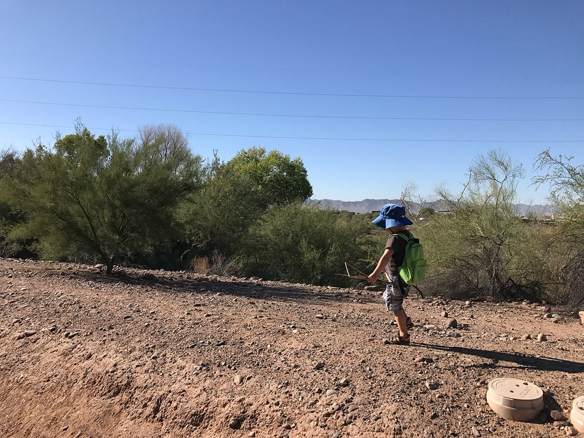 6 Nature Areas to Visit in Phoenix - Phoenix With Kids