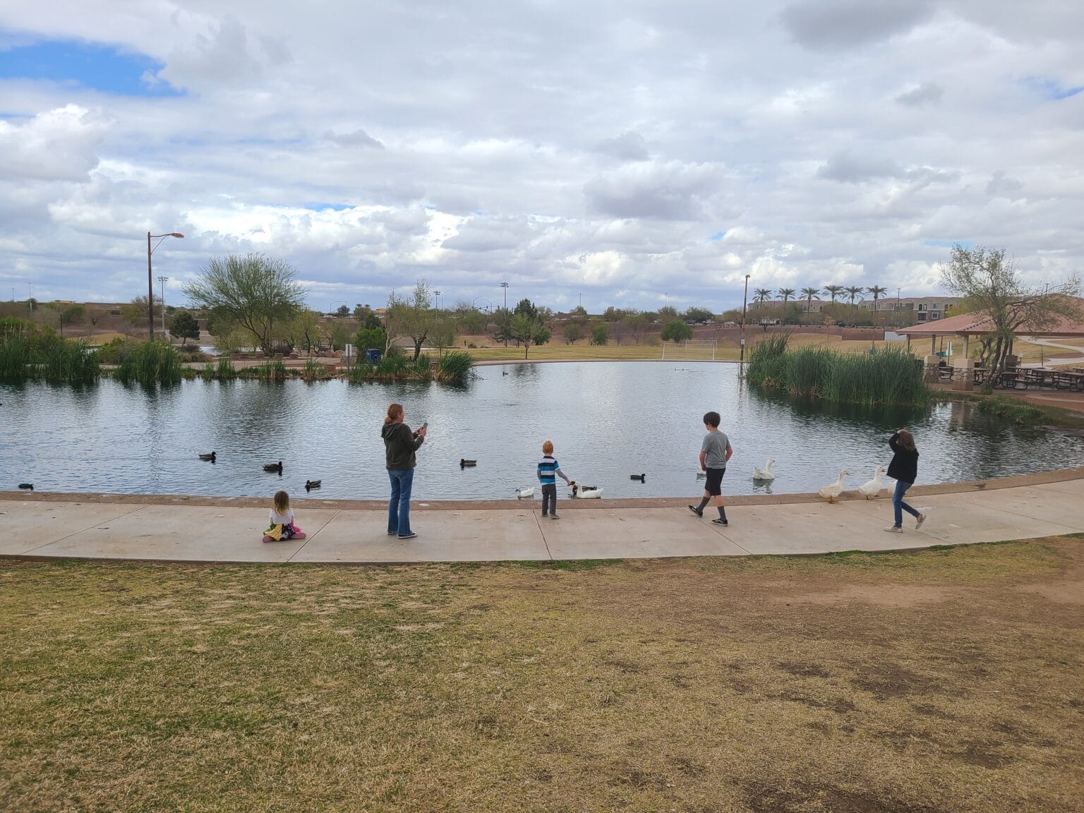 Discovery Park in Gilbert - Phoenix With Kids