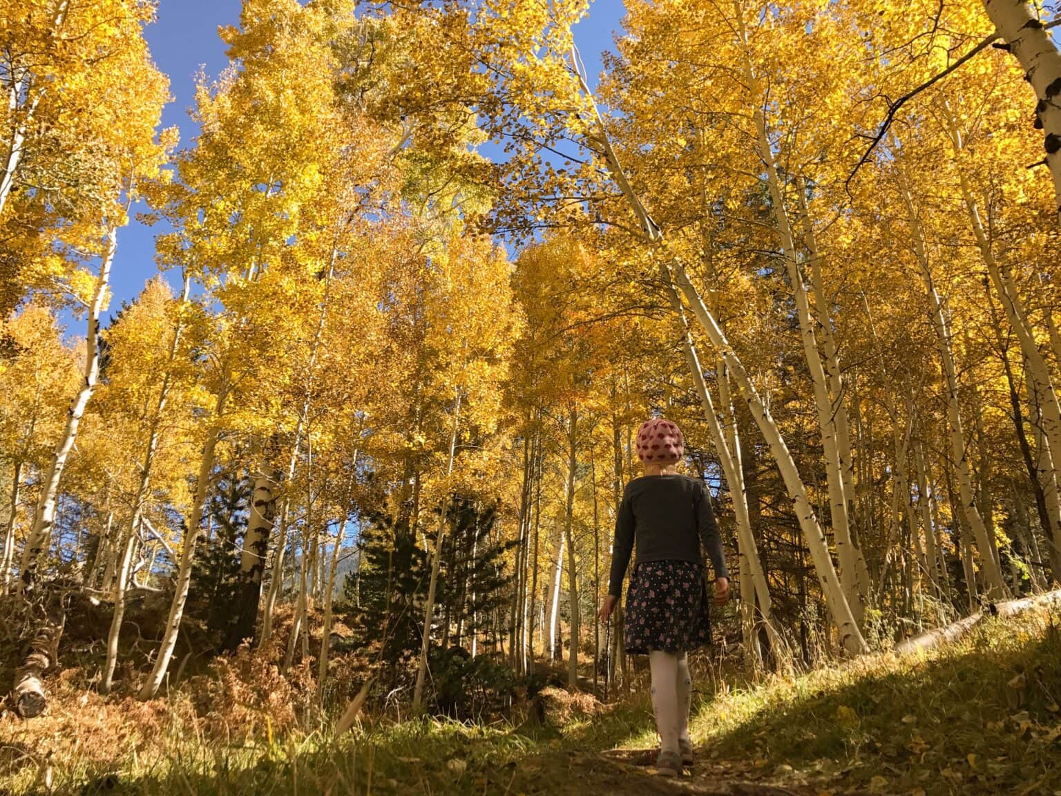 Fall Colors in Arizona, and Where to Find Them - Phoenix With Kids