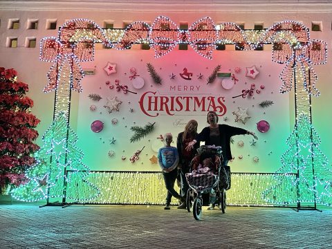 Christmas at the Princess - Phoenix With Kids