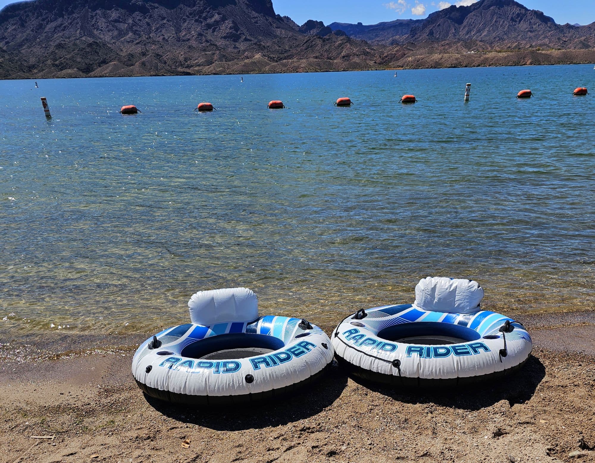 Cattail Cove State Park With Kids - Phoenix With Kids