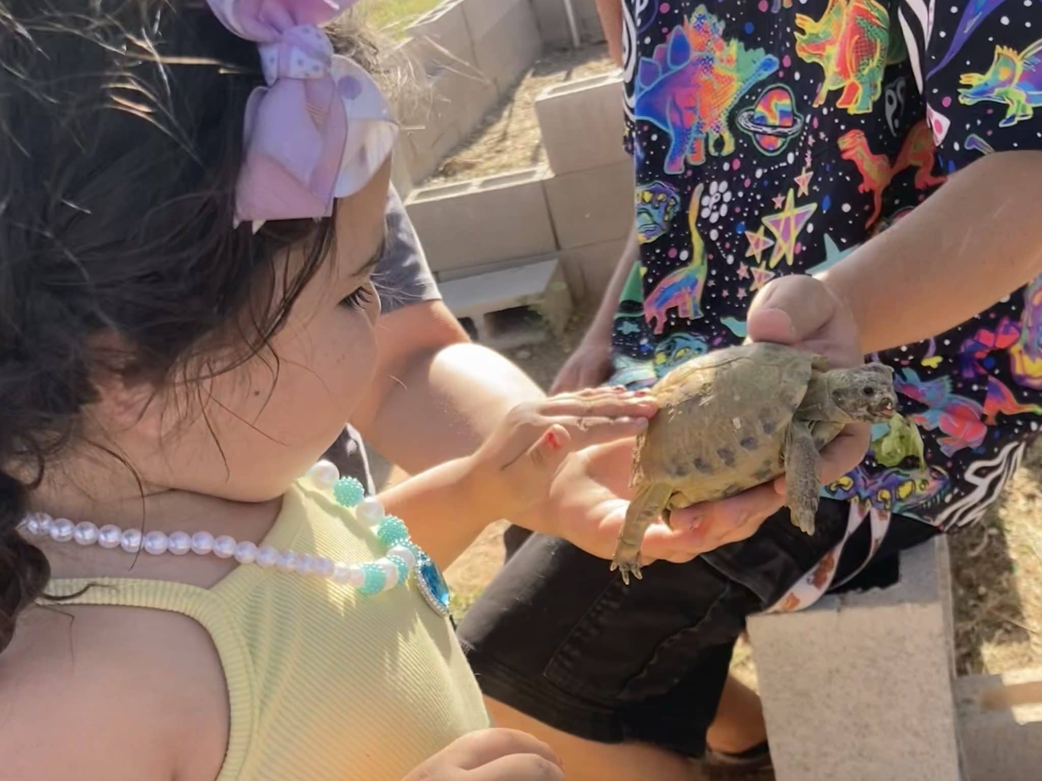 Radical Reptile Fun in Queen Creek - Phoenix With Kids