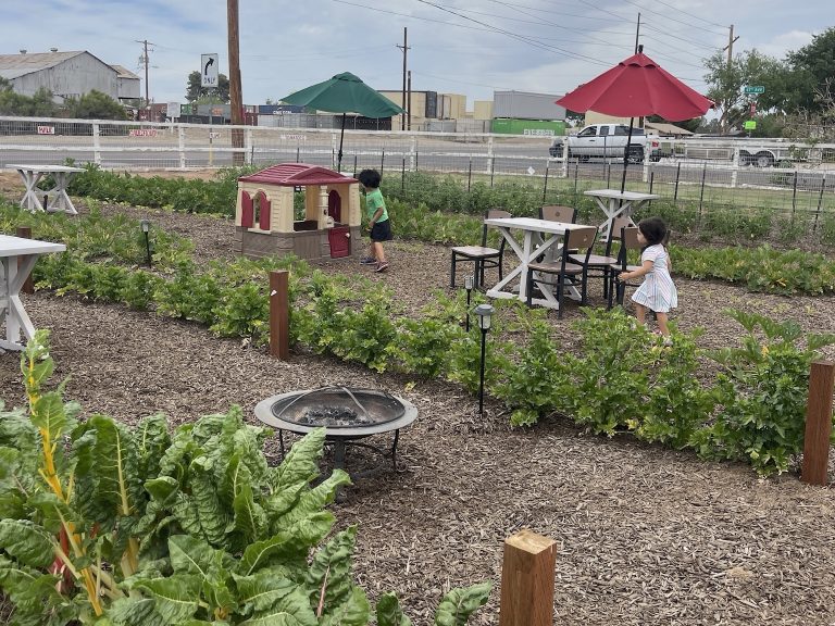 Amadio Ranch in Laveen - Phoenix With Kids