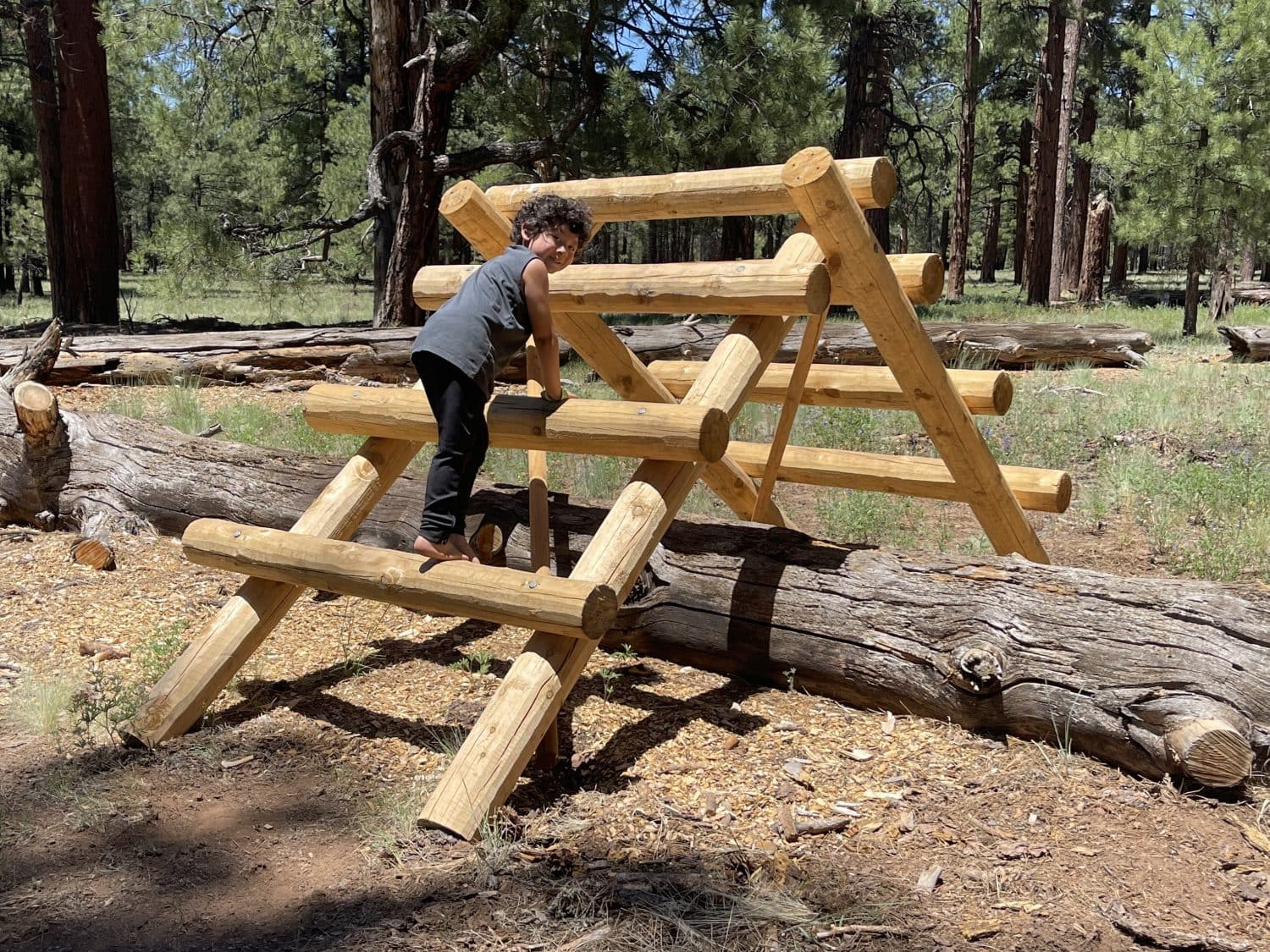The Barefoot Trail in Flagstaff - Phoenix With Kids
