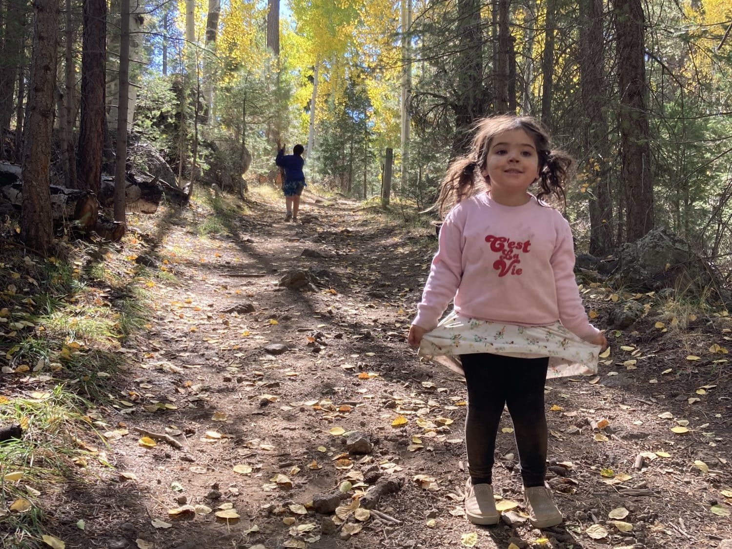 Veit Springs Loop in Flagstaff - Phoenix With Kids
