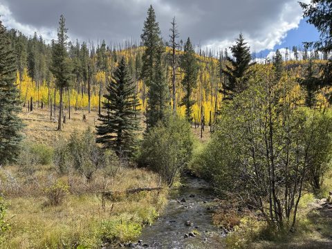 Weekend Escape to Greer, Arizona With Kids - Phoenix With Kids