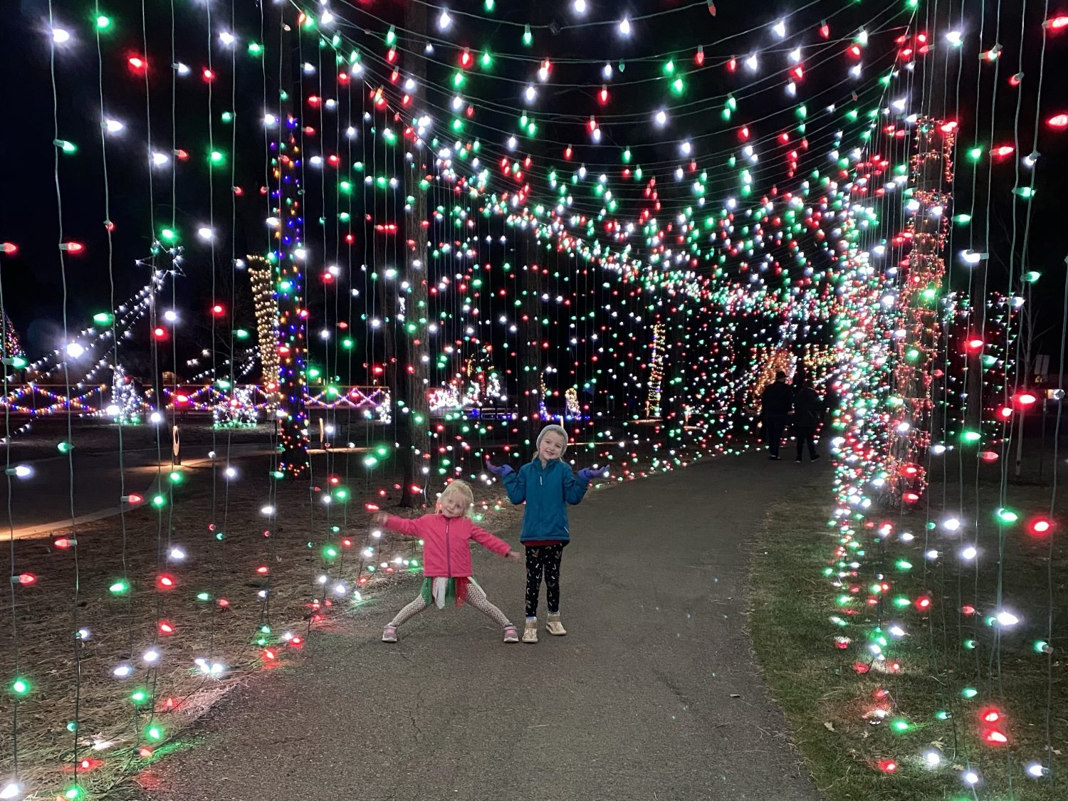 Stunning Christmas Light Displays in Show Low and Pinetop-Lakeside ...