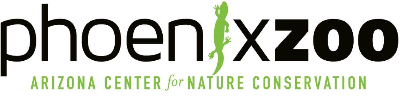 Media Kit and Testimonials - Phoenix With Kids