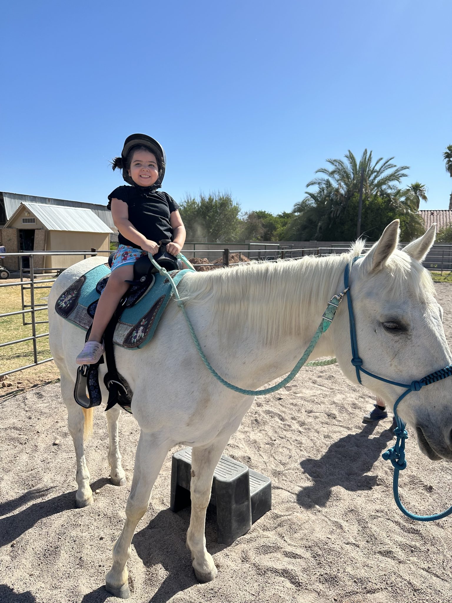 Toscano Family Farms in Queen Creek - Phoenix With Kids