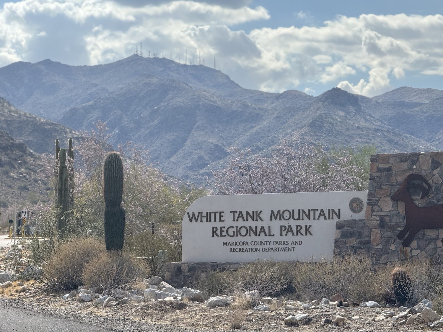 White Tank Mountain Regional Park: A Maricopa County Park - Phoenix ...