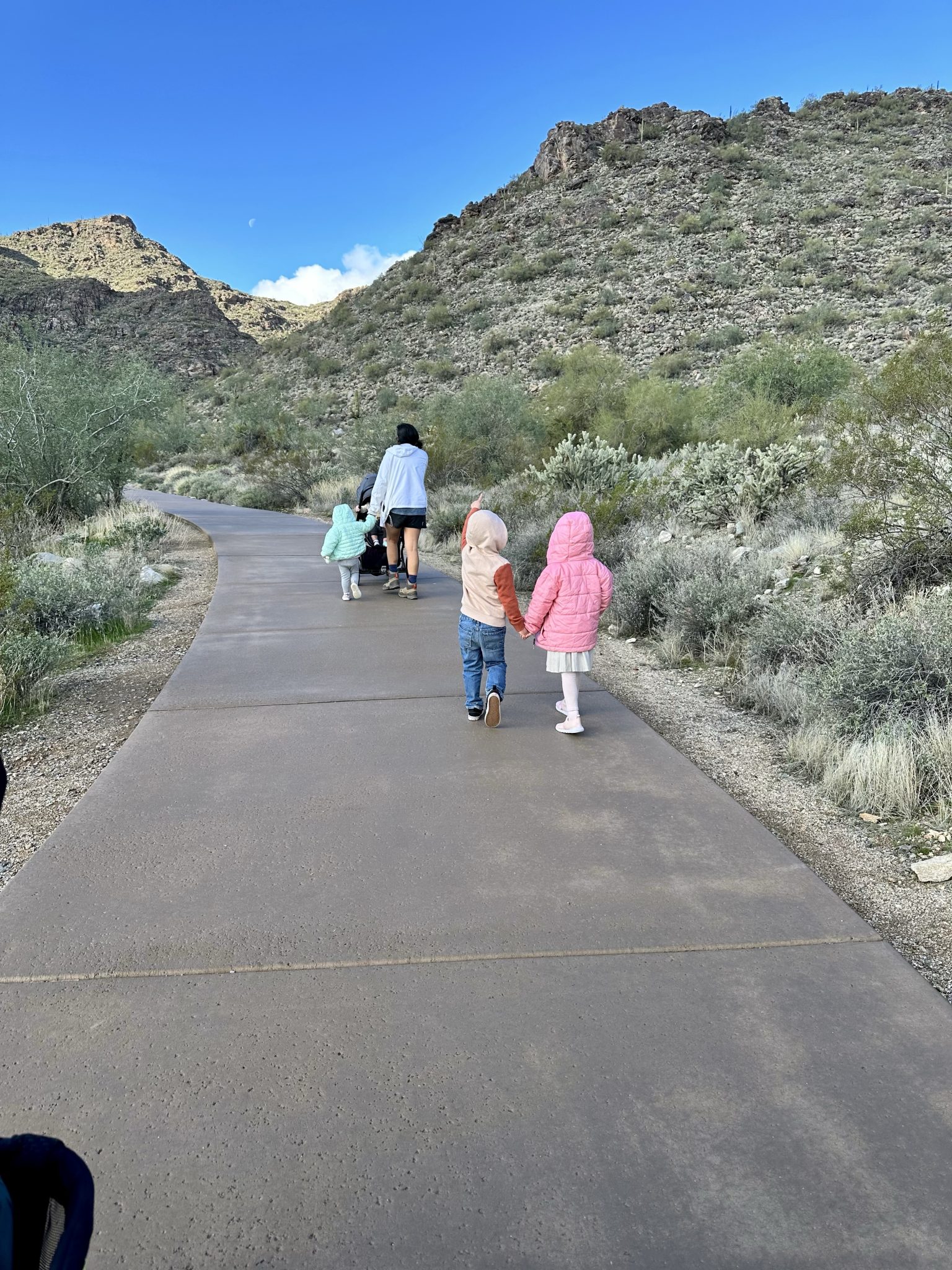 5 Easy Toddler Hikes in Phoenix - Phoenix With Kids