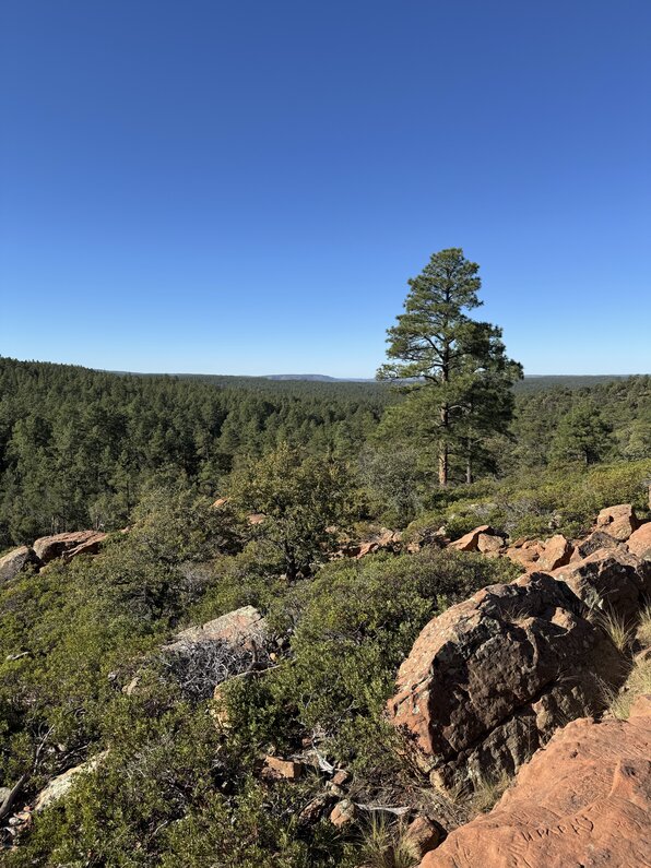 Four Fall Hikes in Pinetop-Lakeside, Arizona - Phoenix With Kids