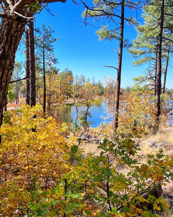Four Fall Hikes in Pinetop-Lakeside, Arizona - Phoenix With Kids