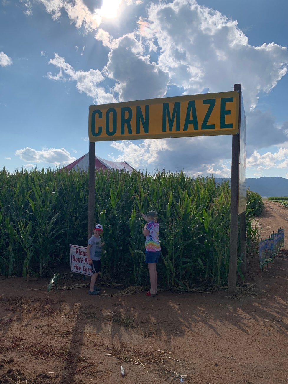 corn maze snowflake az